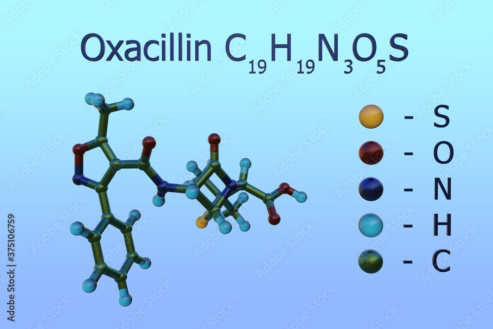 Oxacillin Oral