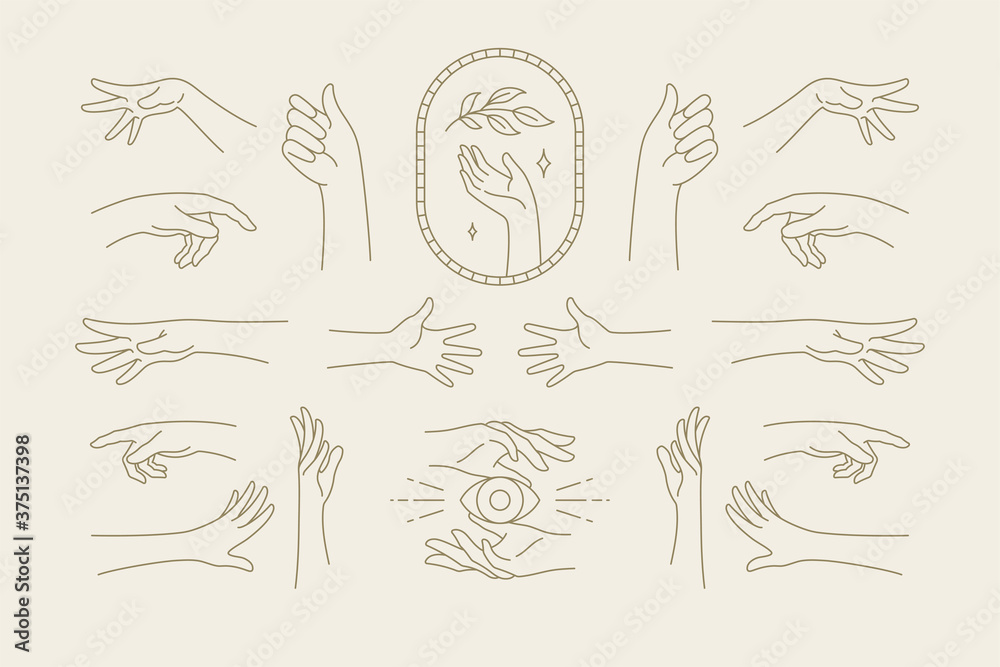 Female hands gestures collection of line art hand drawn style vector ...