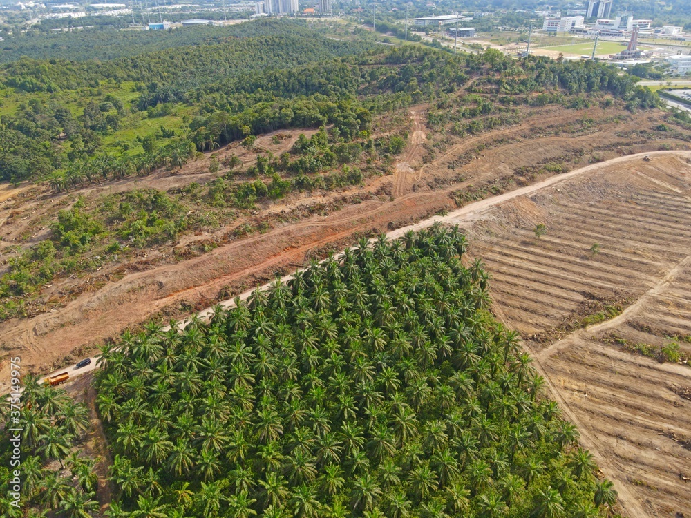 An aerial view of land clearing and deforestation at Iskandar Puteri of ...