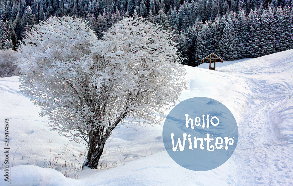 Heart shape tree & hello winter in snow white scene landscape. Snow and ...