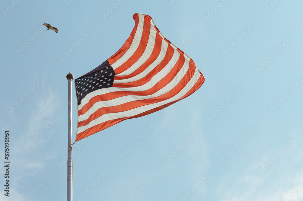 American flag against a blue sky with a soaring bird of prey Stock ...