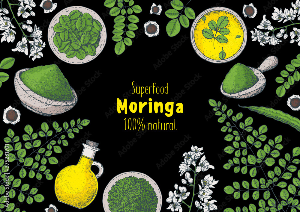 Moringa hand drawn illustration. Organic healthy food. Moringa leaves ...