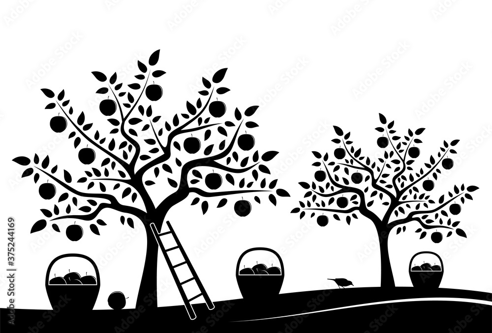 apple tree orchard Stock Vector | Adobe Stock