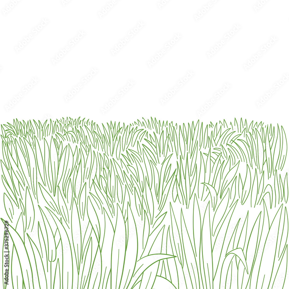 Green grass meadow. High thick lawn growth. Hand drawn sketch. Vector ...
