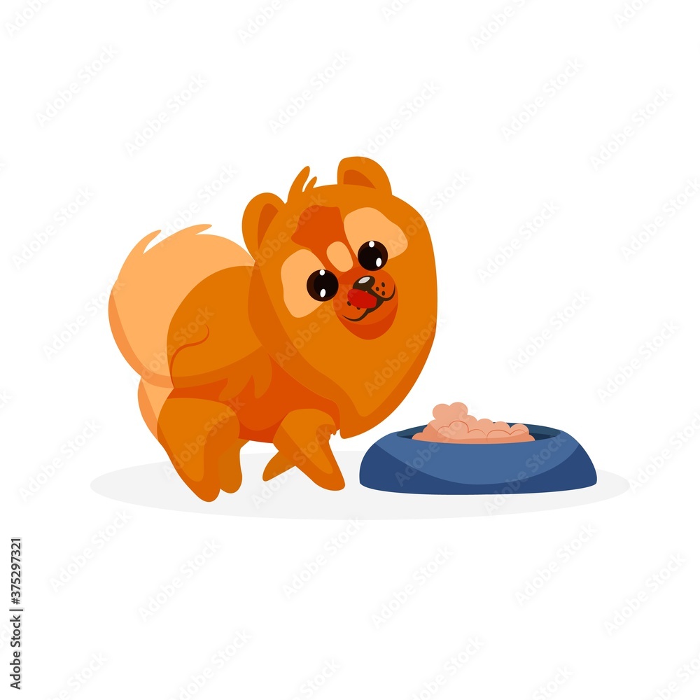 Chow chow puppy. Isolated playful purebred chow chow dog puppy icon ...