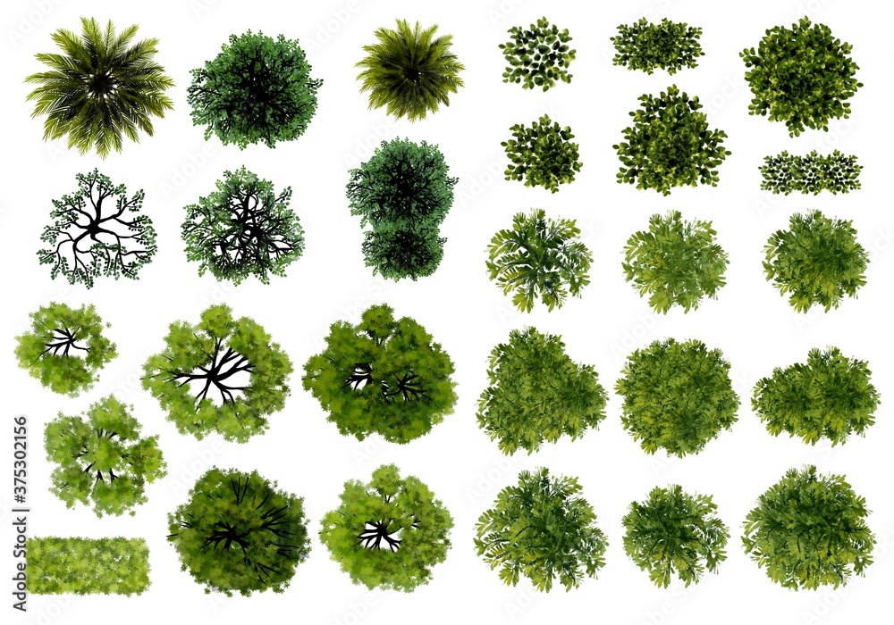 green grass isolated on white background, Set of watercolor tree top ...