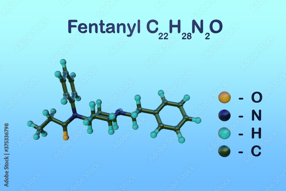 Structural chemical formula and molecular model of fentanyl, a power ...