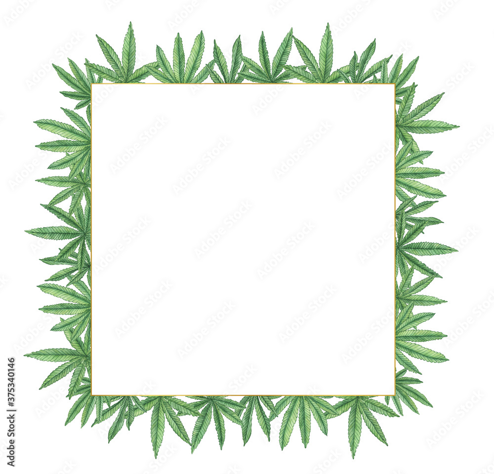 Watercolor cannabis floral frame, gold square marijuana border with ...