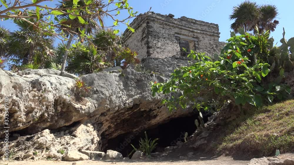 House of the Cenote at Mayan Ruins in Tulum, Mexico. Stock ビデオ | Adobe ...