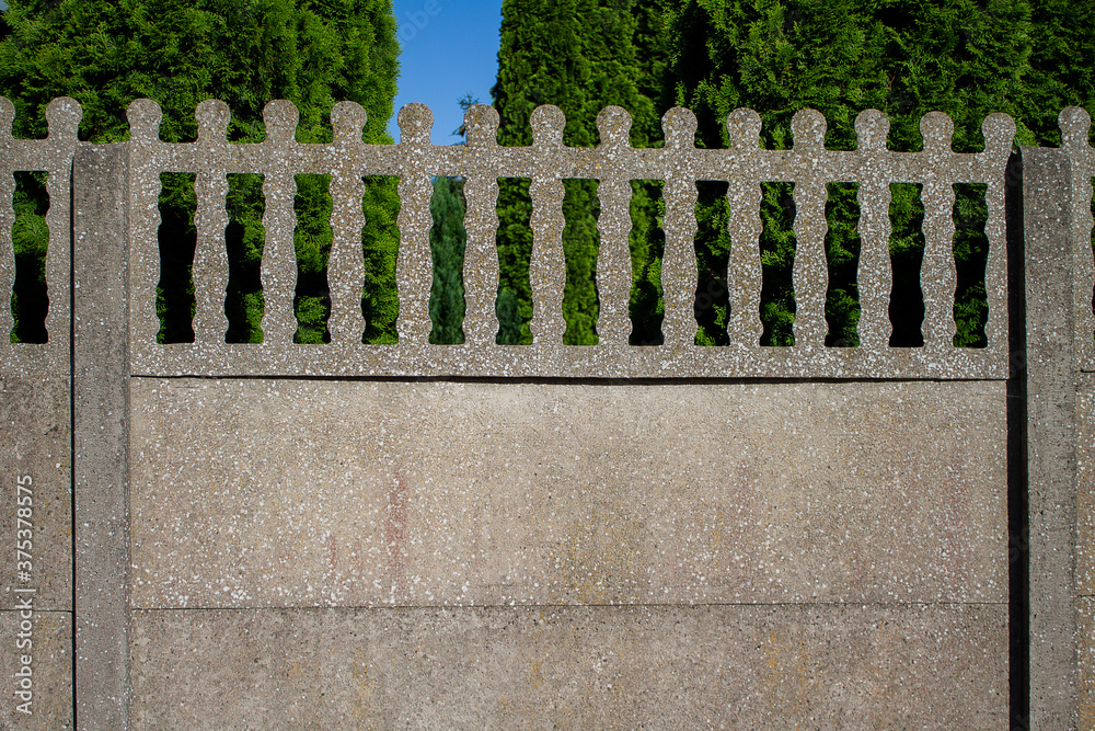 Texture concrete garden fence. Tujen can be seen in the background. On ...