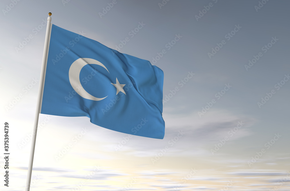 Flag of East Turkestan Stock Illustration | Adobe Stock