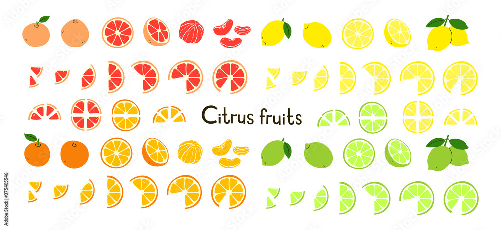 Citrus fruit. Lemon, lime, orange, grapefruit. Fruits whole and cut, half and slices. Vitamin C ...