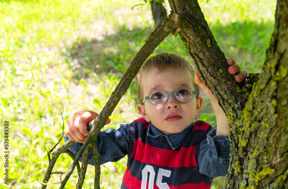 Sad Broken Tree Branch