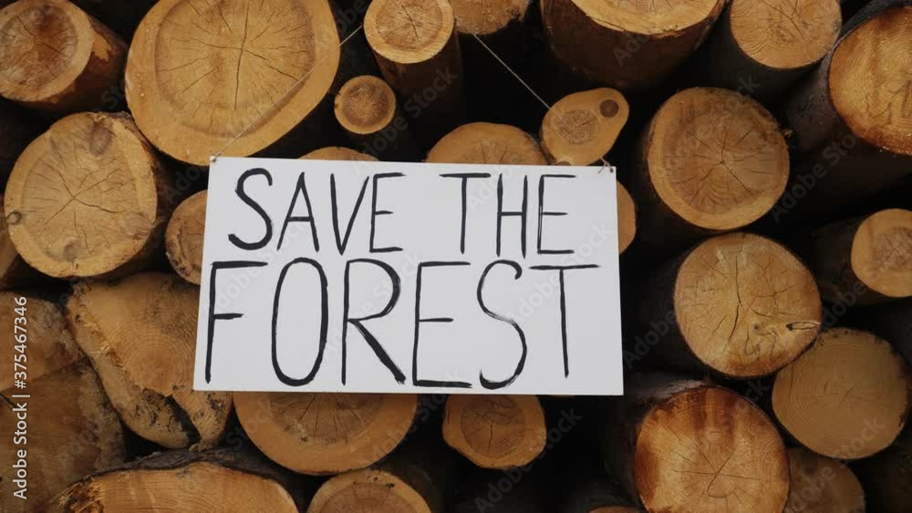 Deforestation environmental problem, logging, cutting trees. removal of ...