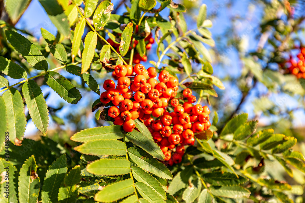 Autumn transform the colors in the nature just like this beautiful ...