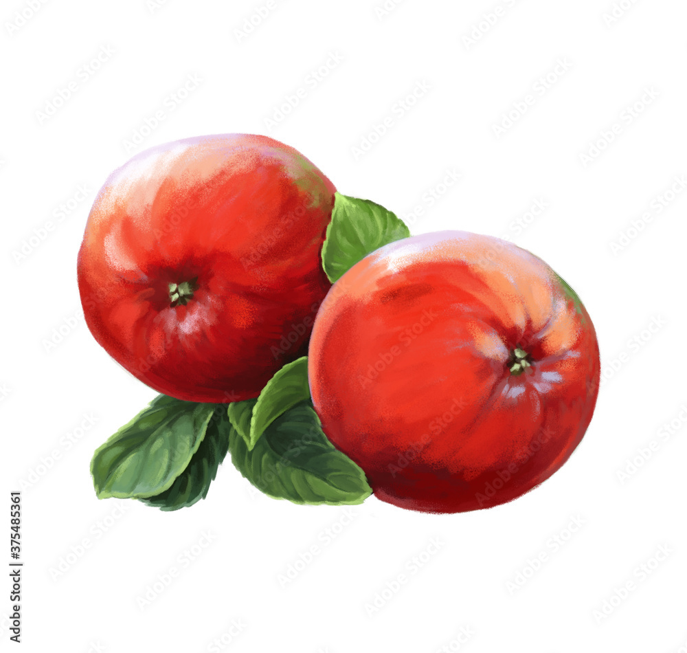 cartoon scene with beautiful apple on white background - illustration ...