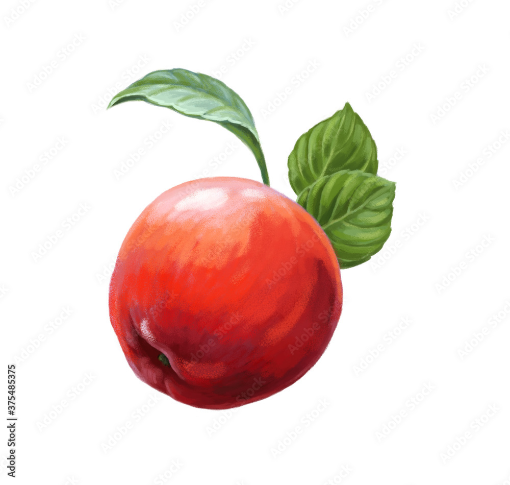 cartoon scene with beautiful apple on white background - illustration ...