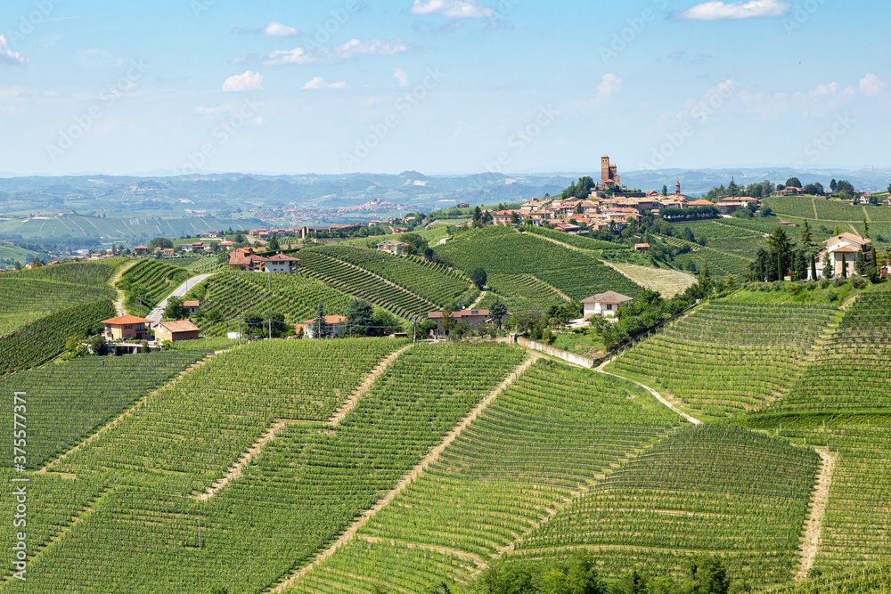 I vigneti e il paesaggio delle Langhe Stock Photo | Adobe Stock