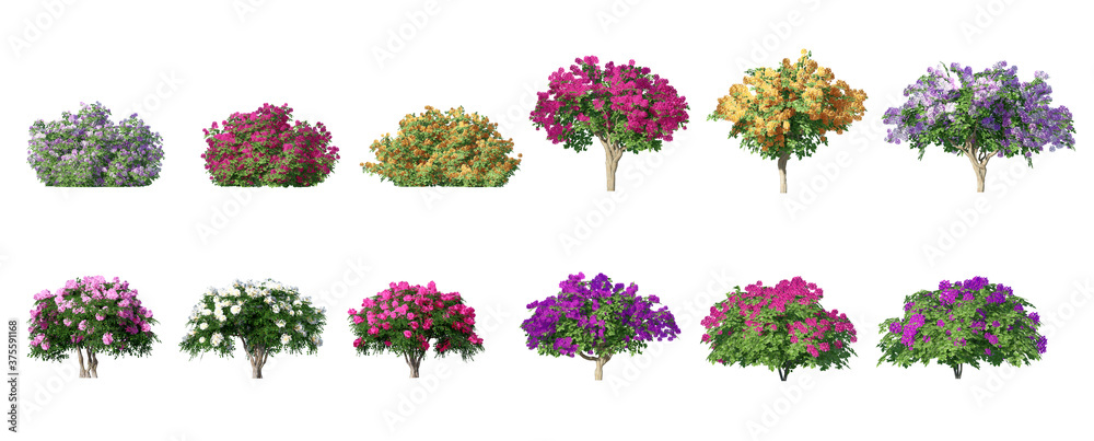 Collection of 3D flowers Trees Isolated on white background , Use for ...