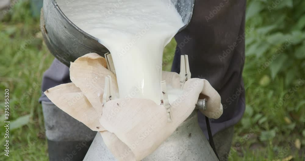 farmer is pouring freshly milked milk from a bucket into a watering can ...