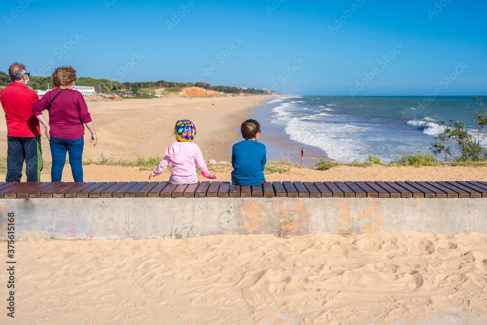 Back view of brother and sister sitting and looking at the beach ...