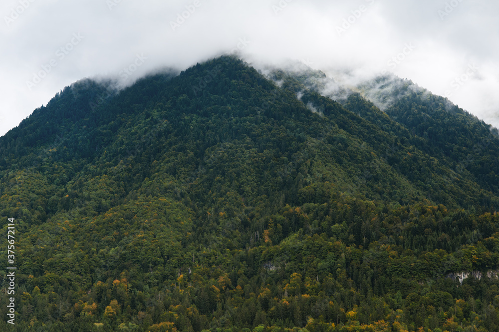 Tree clad mountain shrouded in low cloud Stock Photo | Adobe Stock