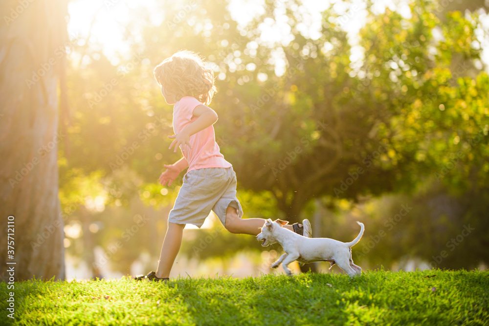 Boy child walk with puppy. Kid with pets running. Happy Child and dog ...