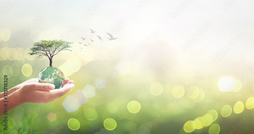 World environment day concept: Human hands holding earth global and ...
