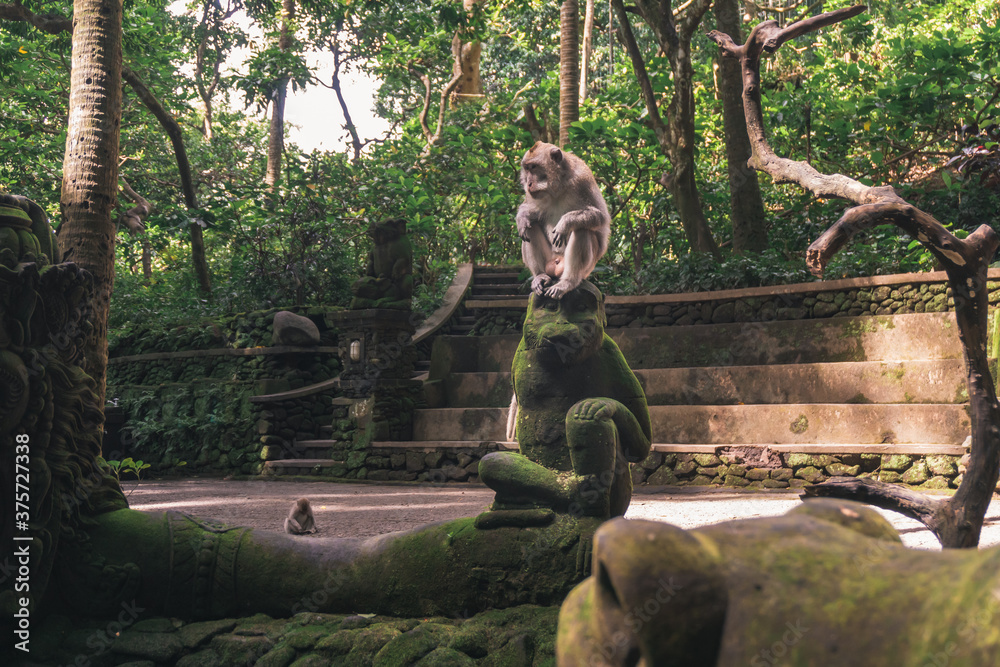 Foto Stock Macaco sentado em cima de escultura de macaco na Floresta ...