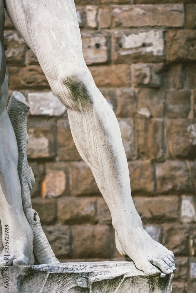 Michelangelo's David Statue Leg Detail, Italian Art Symbol Stock Photo ...