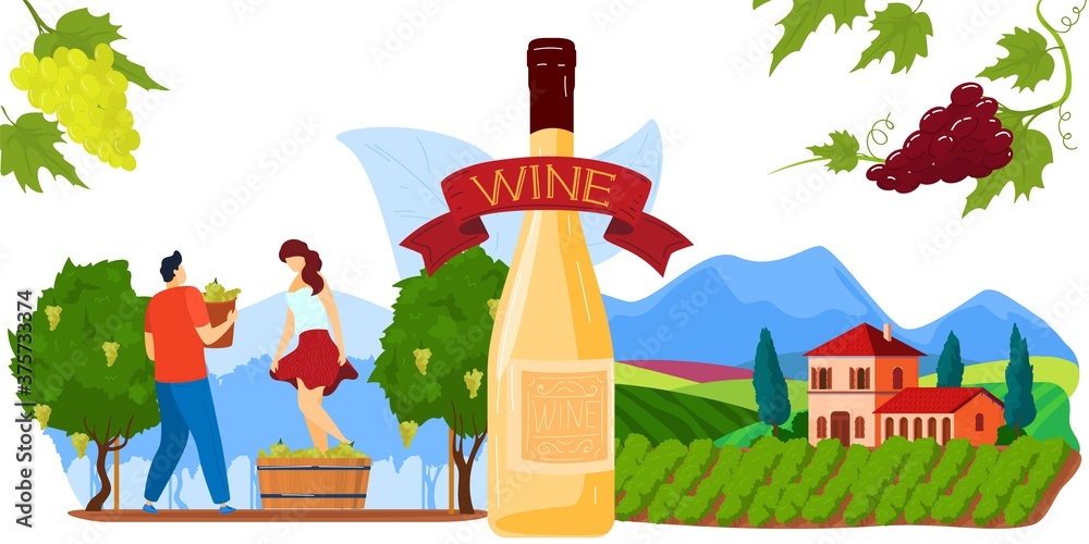 Wine grape production vector illustration. Cartoon flat producing ...