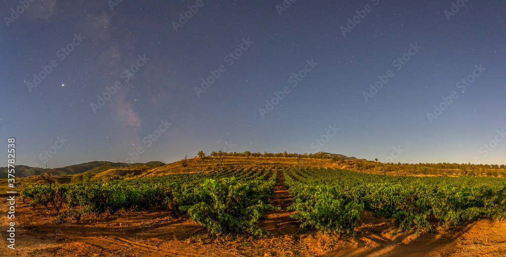 Vineyards on a full moon night, details of the stars and milky way and ...