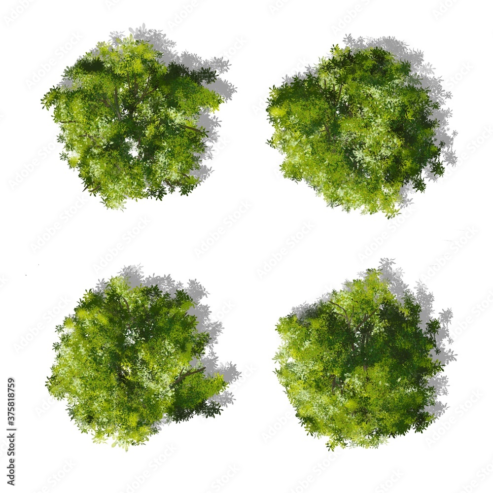 Set of watercolor 3d painting tree top view for landscape plan and ...