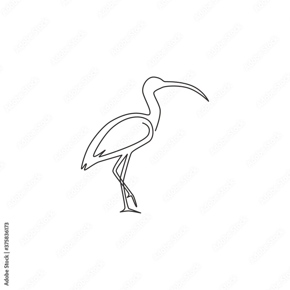 Single continuous line drawing of elegant ibis bird for organisation ...