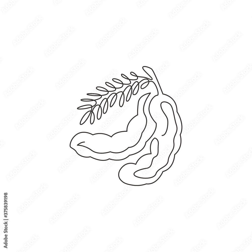 One continuous line drawing of whole healthy organic tamarind for ...