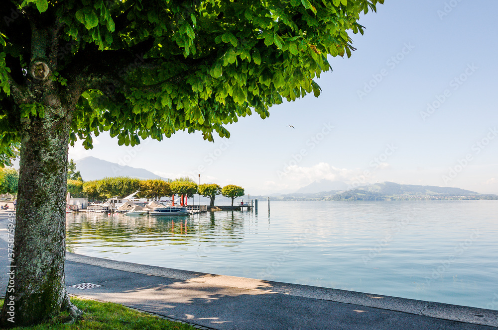 Stadt Zug, Zug, Stadt, Zugersee, Seeufer, See, Fontäne, Altstadt, Zuger ...