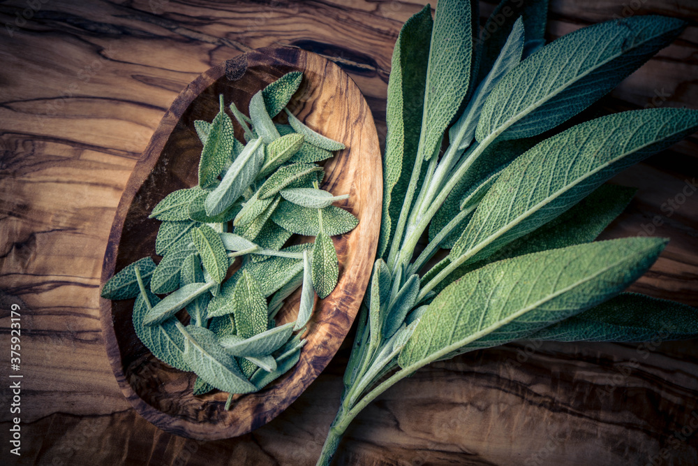 Foto de Salbei (Salvia) ist eine Pflanzengattung in der Familie der ...