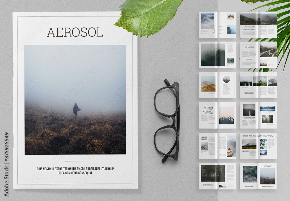 Simple Magazine Layout Stock Template | Adobe Stock