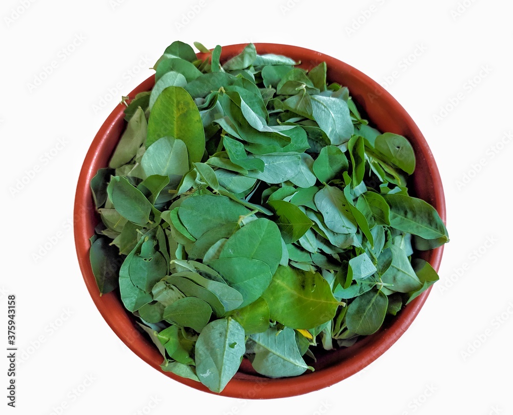Close-up view of chipilin leaves on a clay bowl with white background ...
