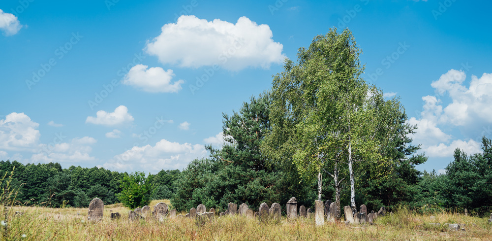 Tombstone at abandoned jewish cemetery in the middle of forest in Zarki ...