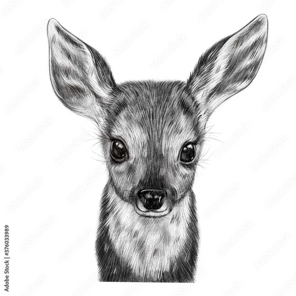 Cute baby deer portrait. Hand drawn illustration. Nursery poster Stock ...