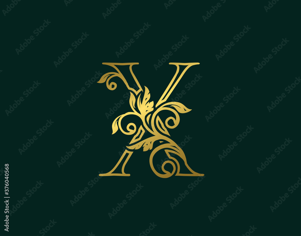 Gold X Luxury Logo Icon, Classy Letter Logo Design. Luxury Silver ...