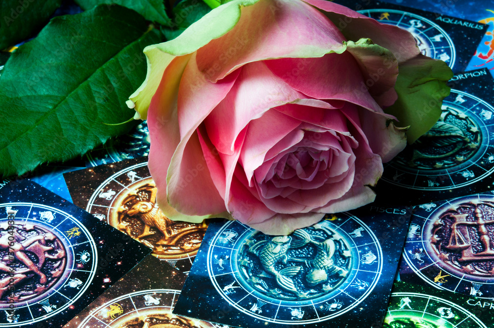 zodiac signs and symbols and horoscope with pink rose like romantic ...
