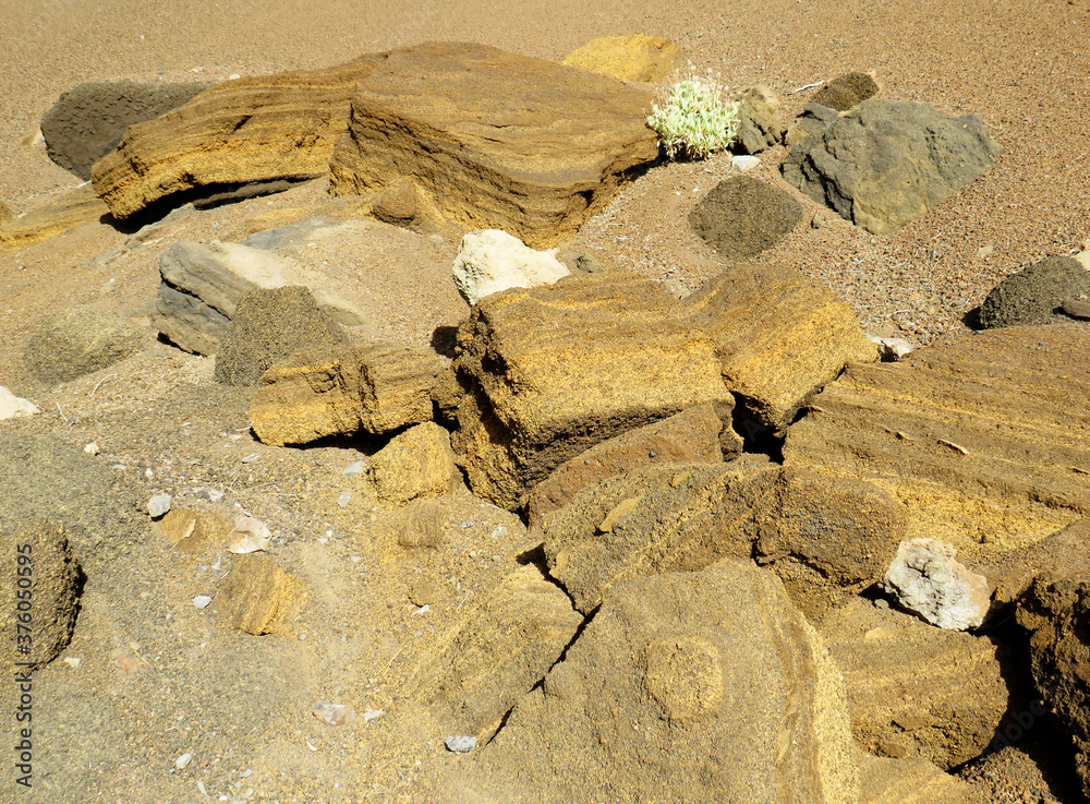 Set of ocher-colored volcanic rocks of different shapes and sizes in a ...
