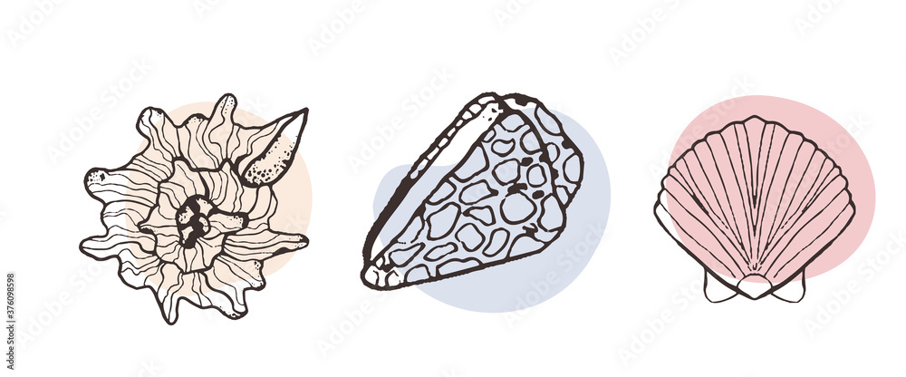 Vetor de Collection of sketch style seashells in line and spot style ...