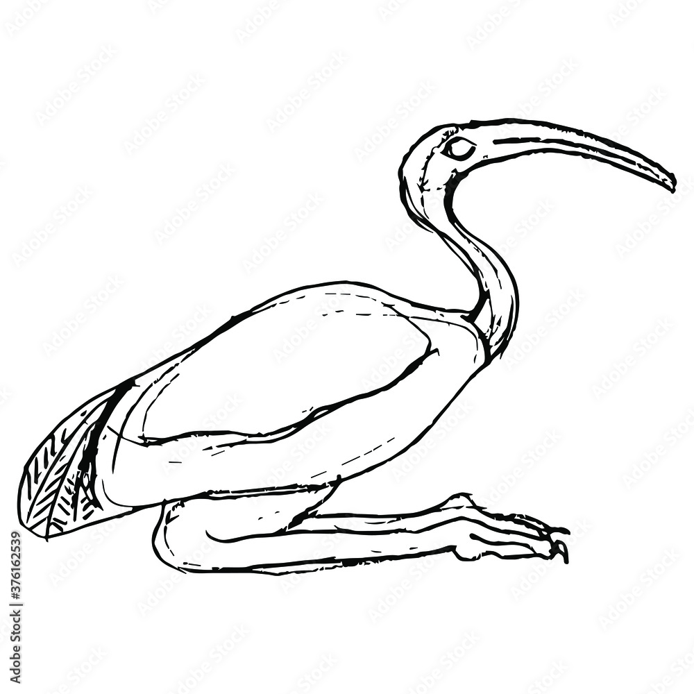 Stylized ibis bird. Ancient Egyptian art. Hand drawn linear doodle ink ...
