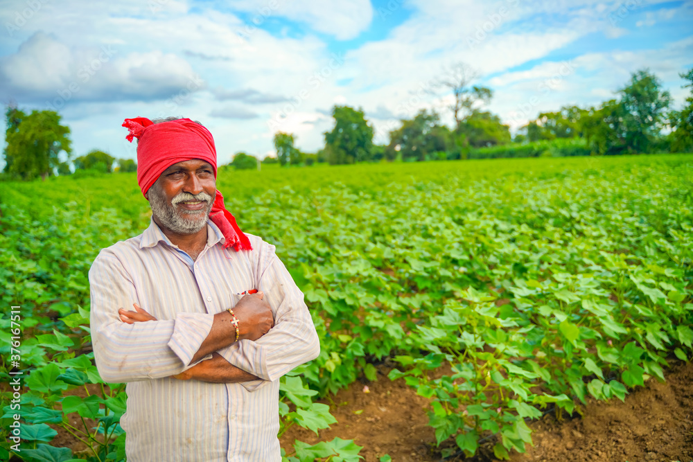 Indian farmer at cotton field Stock Photo | Adobe Stock