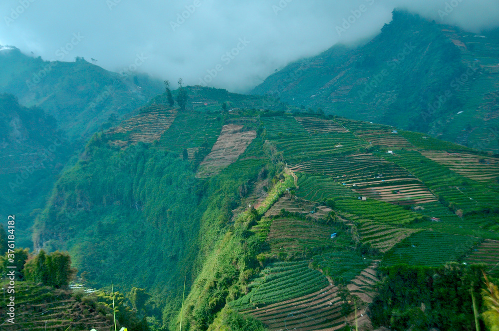 September 6, 2020 Kebumen, Central Java, Indonesia Photos of photos of ...
