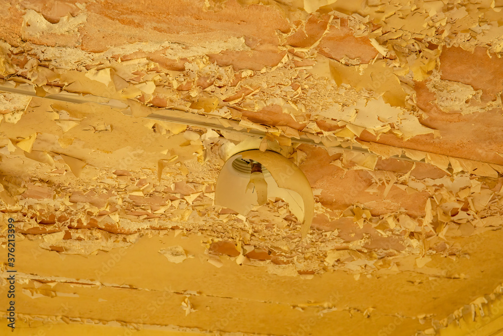 Broken main light and peeling paint from ceiling from decades of ...