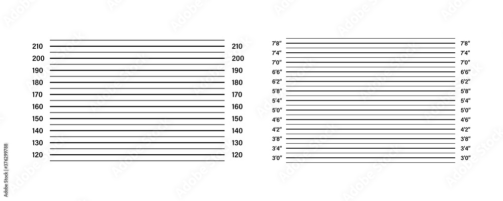 Mug boards line template. Vector isolated templates. Police lineup or ...
